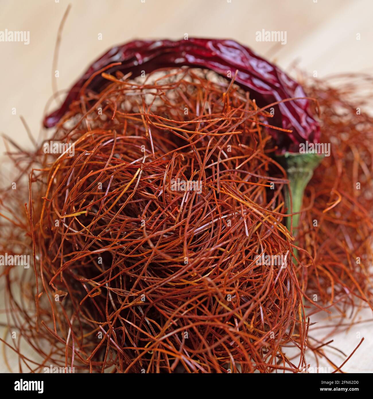 Chilli threads and chilli pod in a close-up Stock Photo - Alamy