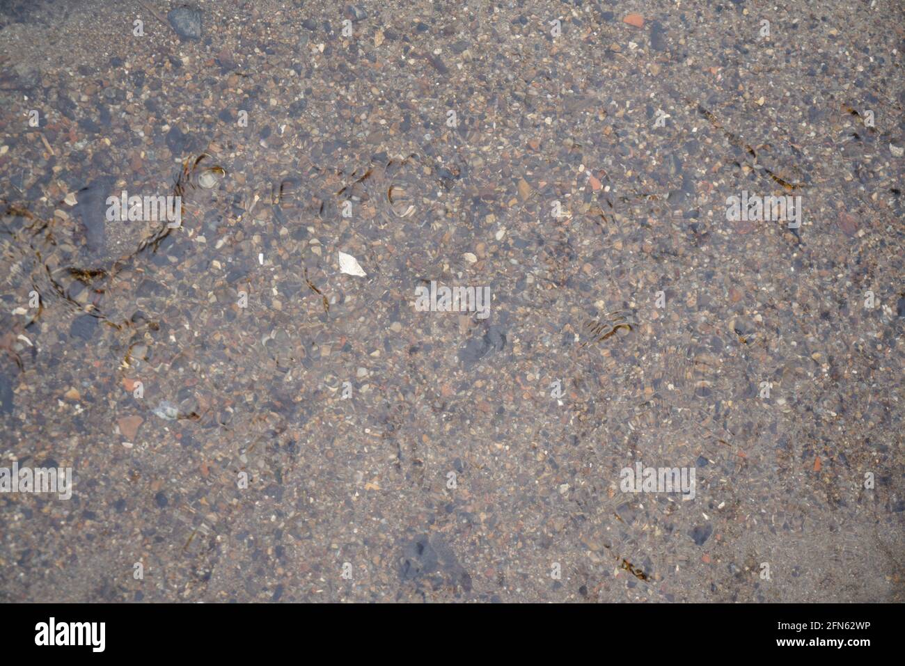 Texture of underwater pebble stones Stock Photo - Alamy