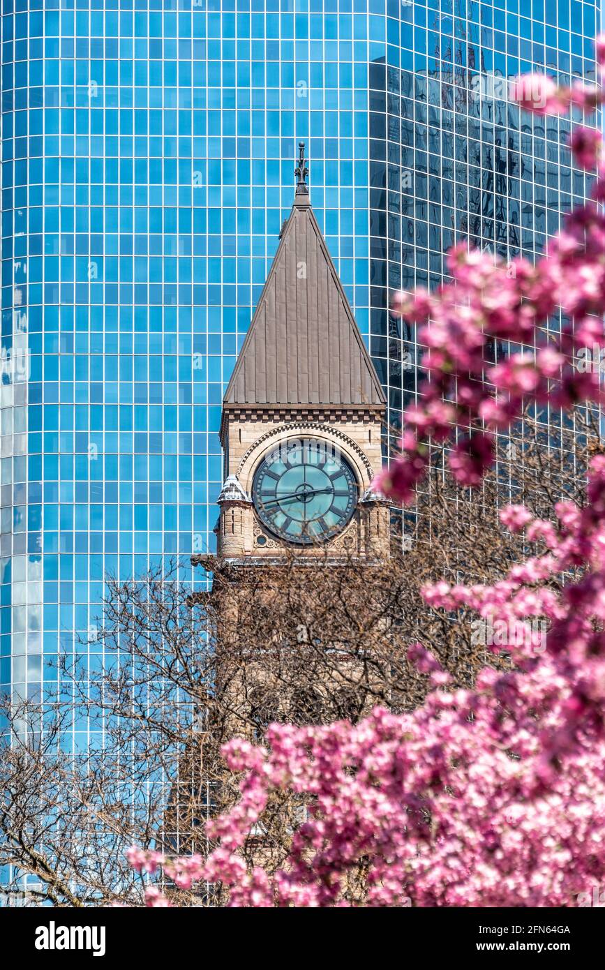 Clock tower of the Old City Hall building, exterior architecture with a ...