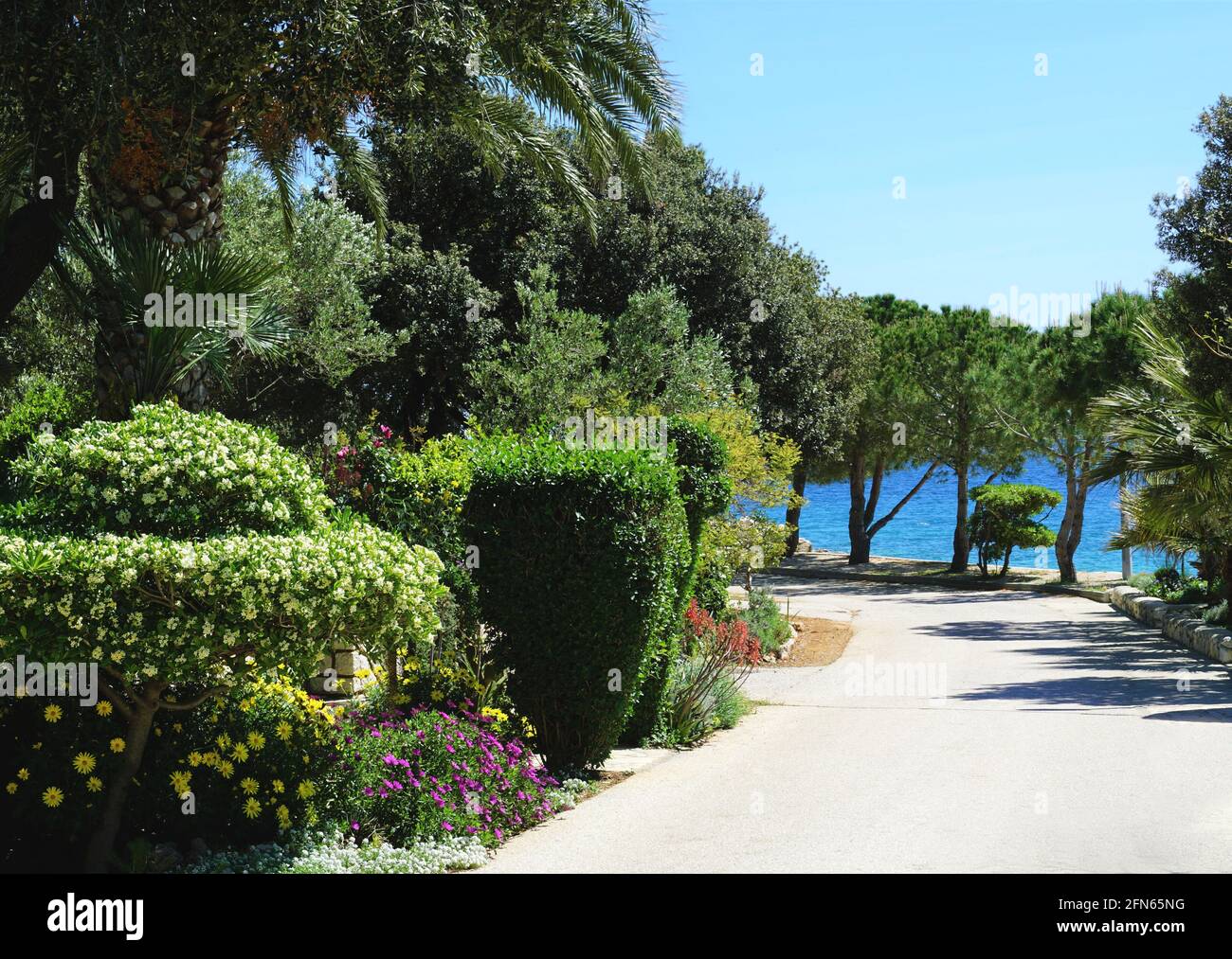 Mediterranean flora in the small village by the sea at bright sunny day ...