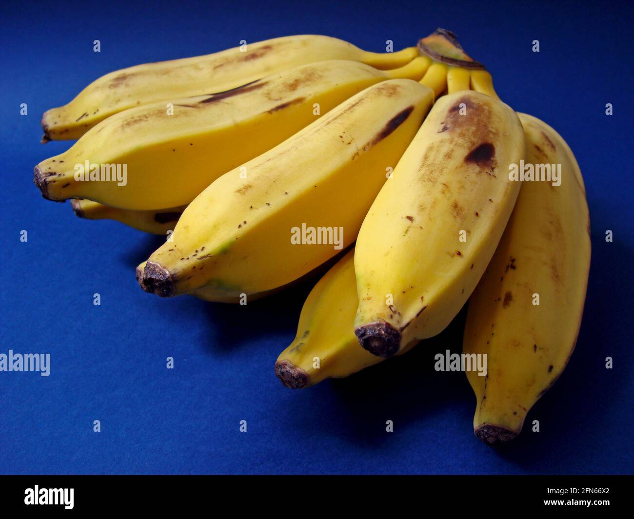 Bunch bananas on blue hi-res stock photography and images - Alamy