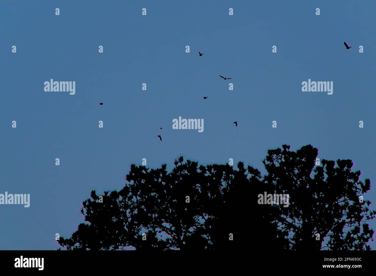 Heavily edited hi-res stock photography and images - Alamy