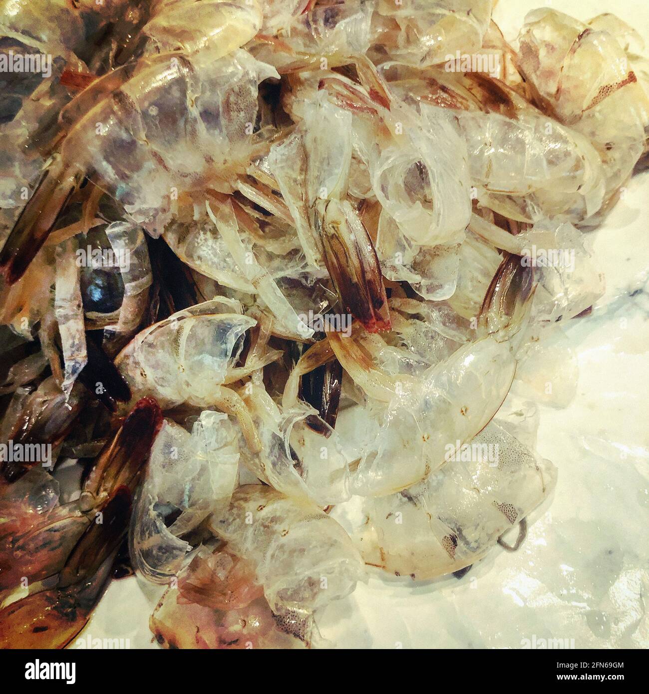 Processing shrimp hi-res stock photography and images - Alamy