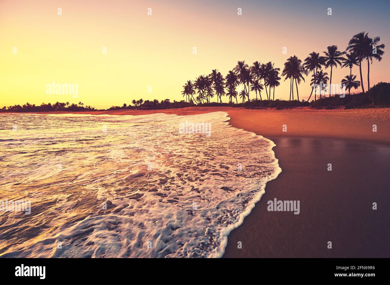 Tropical beach at yellow and purple sunset Stock Photo - Alamy