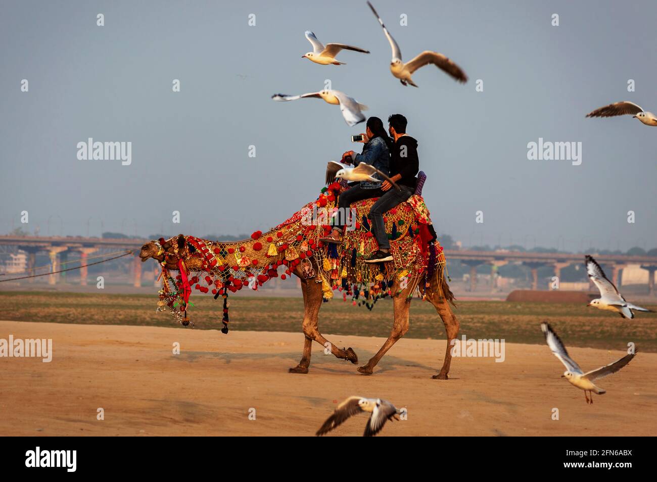 Indian couple romance winter hi-res stock photography and images - Alamy