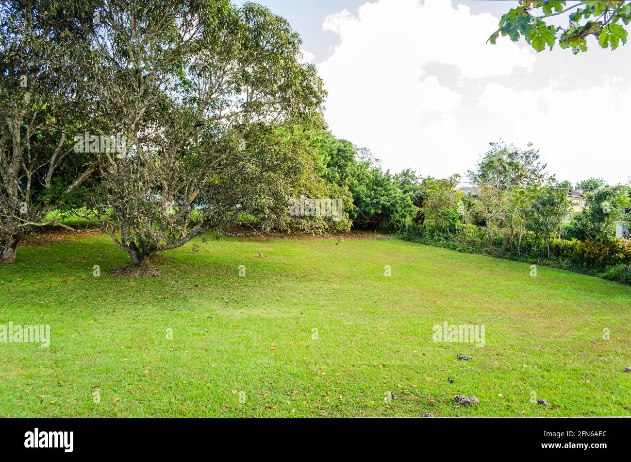 Beautiful jamaican landscape hi-res stock photography and images - Alamy