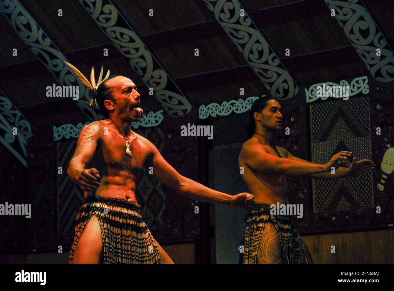 Two Maori dancers in traditional attire dance the Haka for tourists in ...