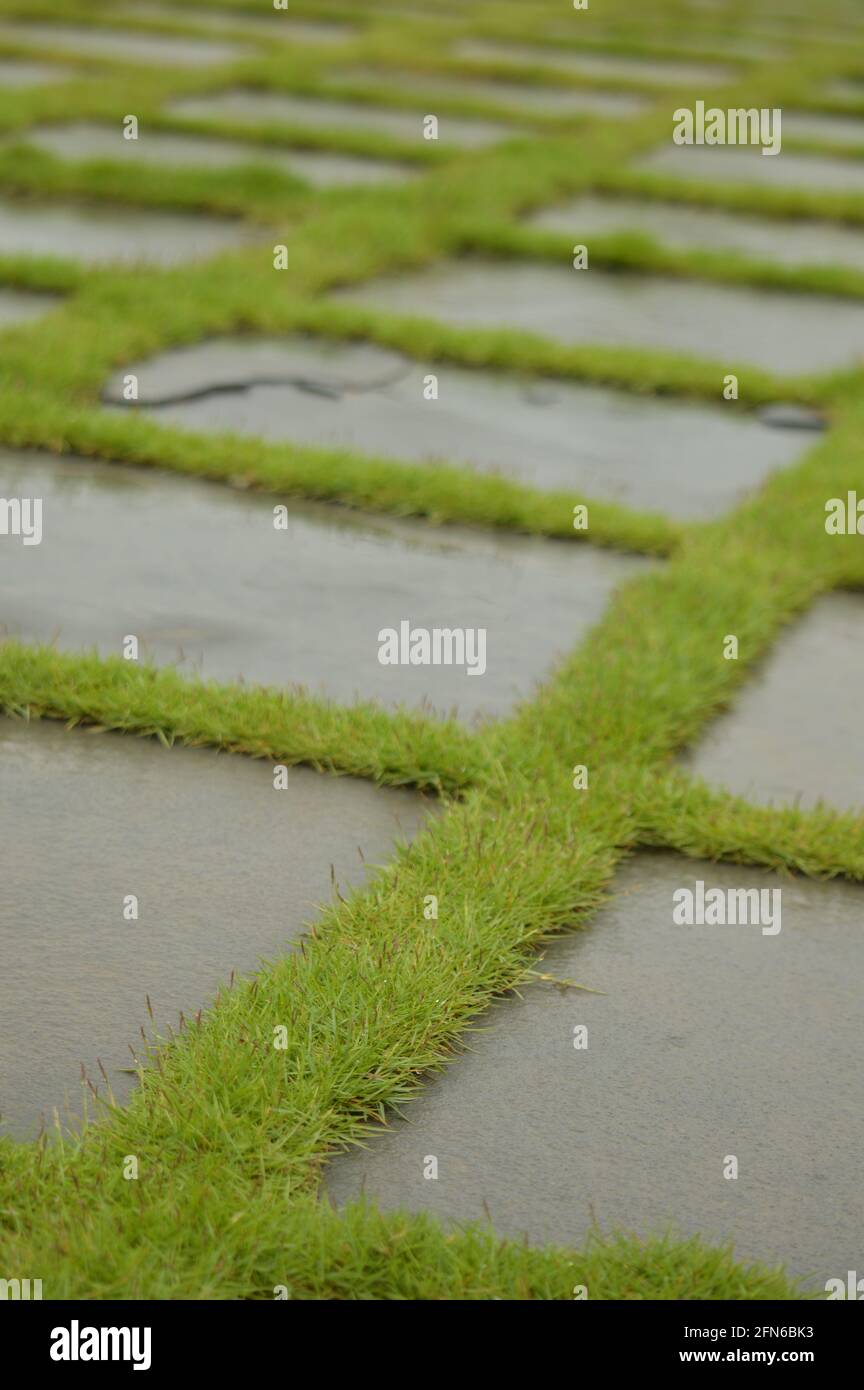 Rock and lawn grass design pattern Stock Photo - Alamy
