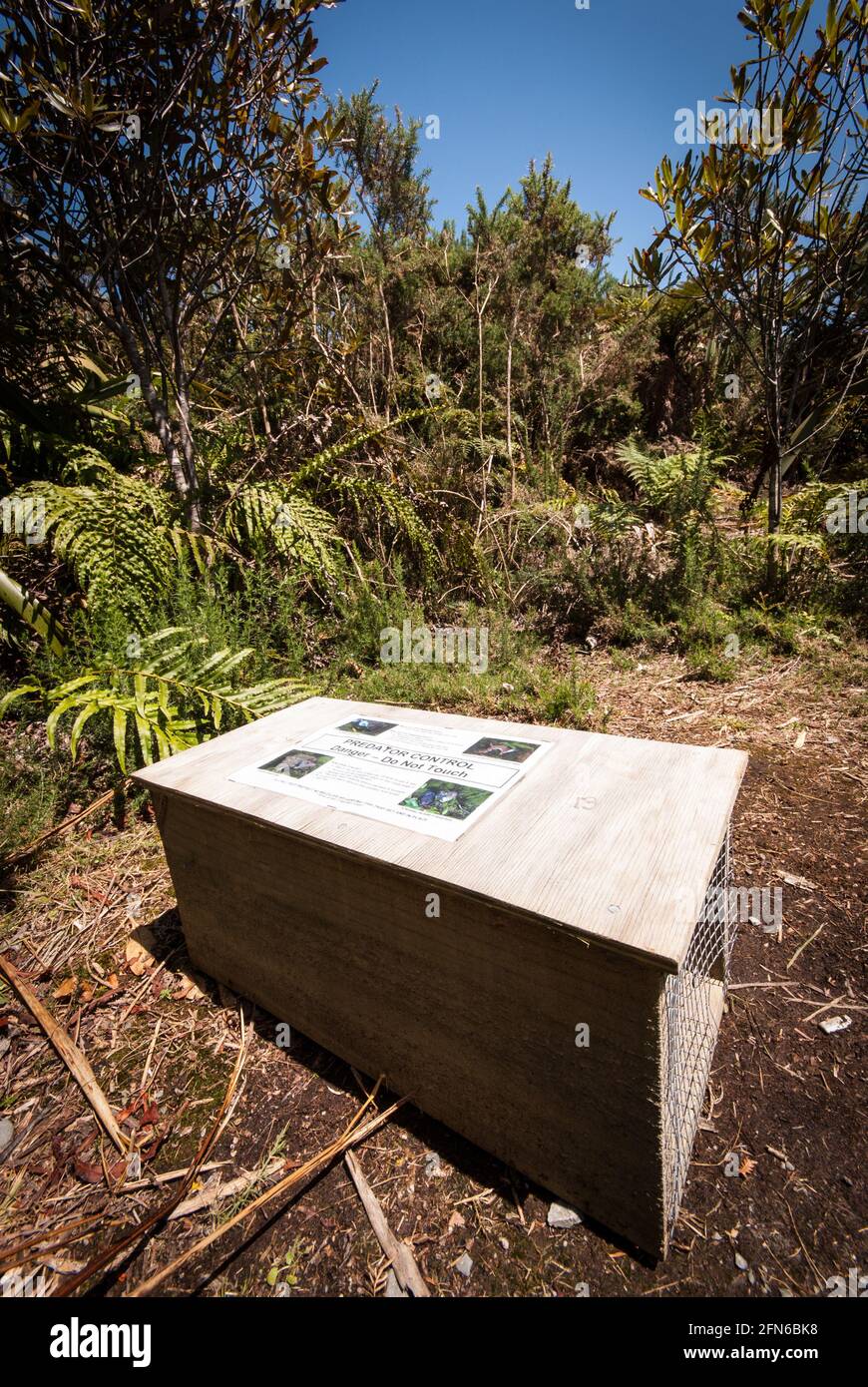 A common sight in the pristine forests of New Zealand: A trap against ...