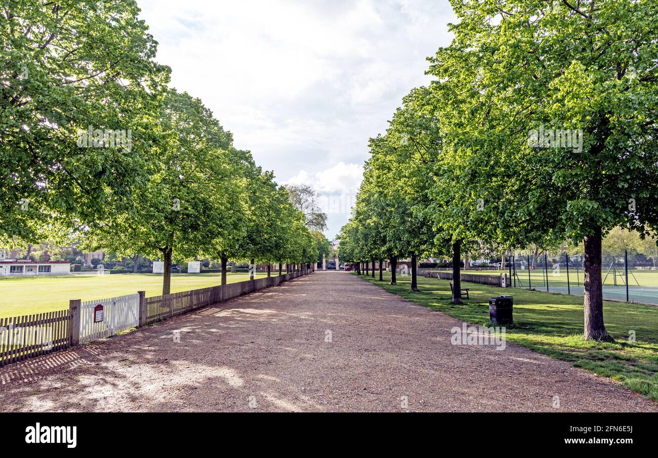 Chelsea park gardens hi-res stock photography and images - Alamy