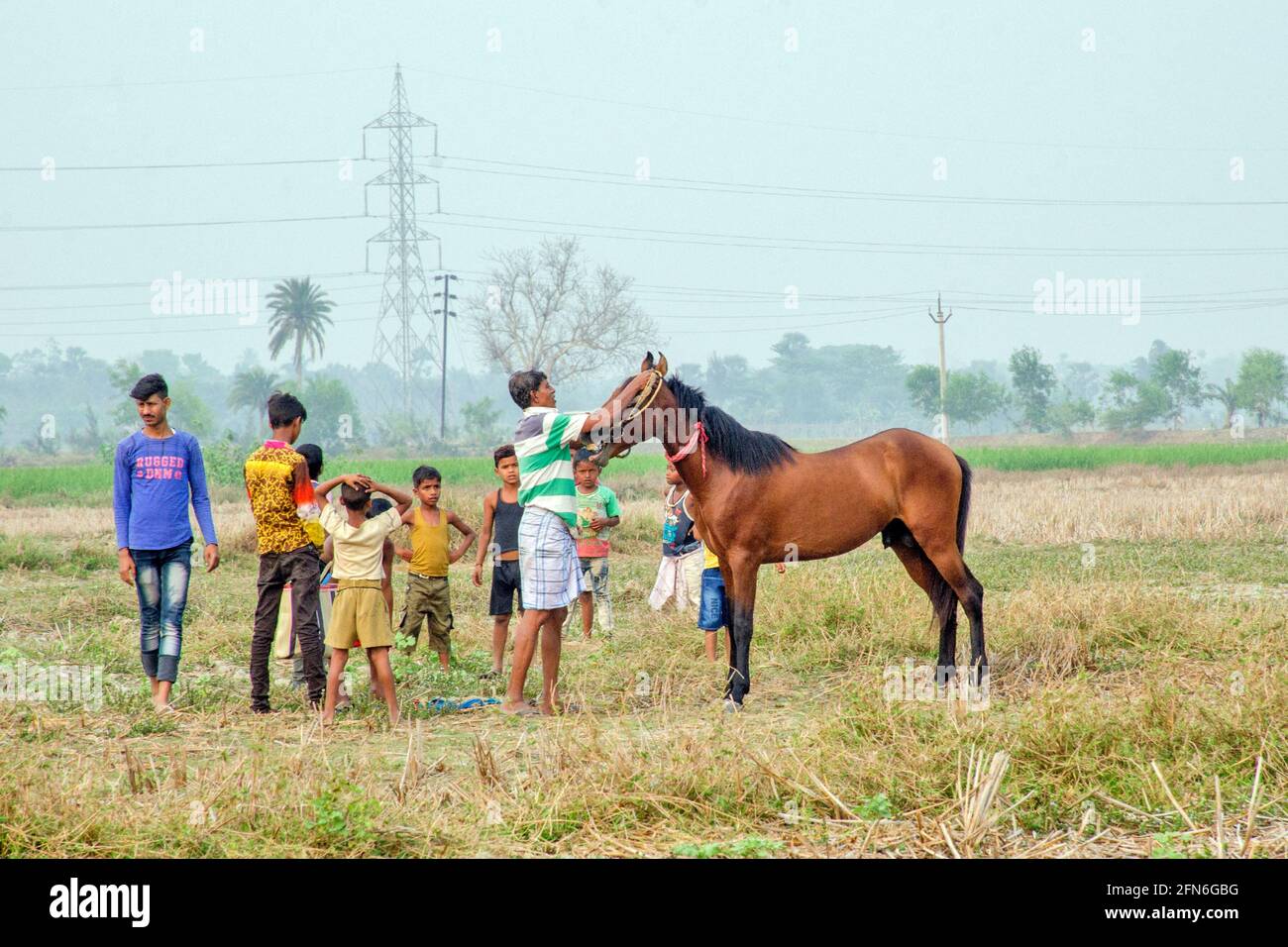 Rural village of west bengal india hi-res stock photography and images ...