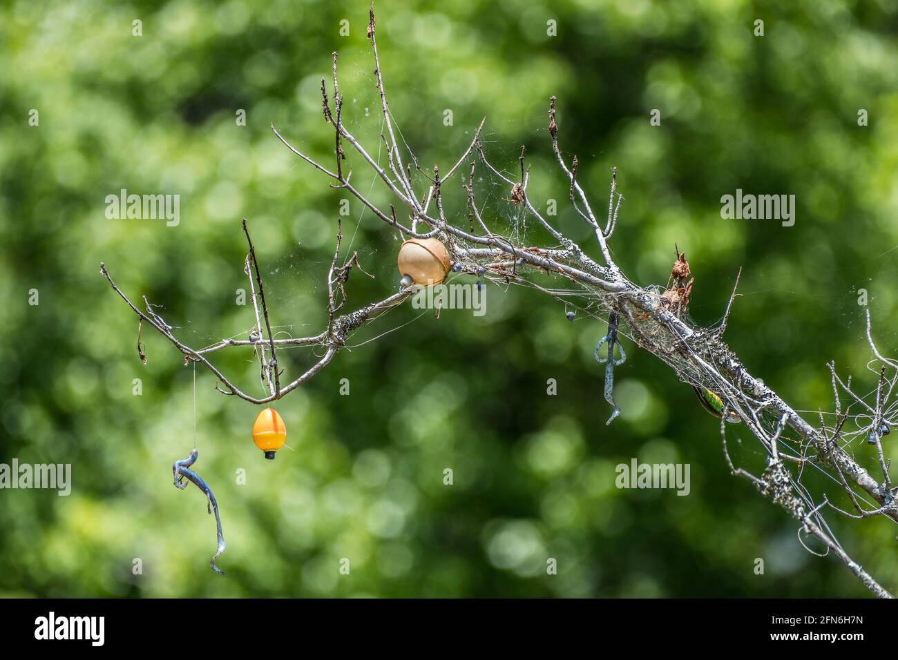 Plastic snagged tree hi-res stock photography and images - Alamy