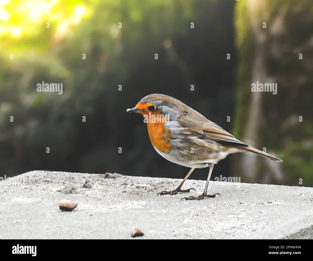 Side sun hi-res stock photography and images - Alamy