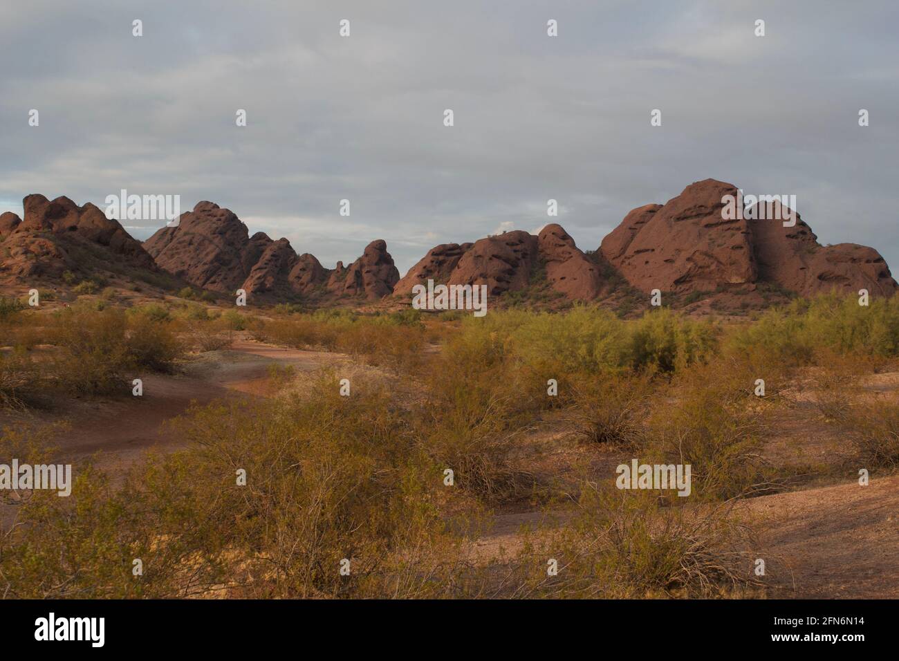 Projectvanlife hi-res stock photography and images - Alamy
