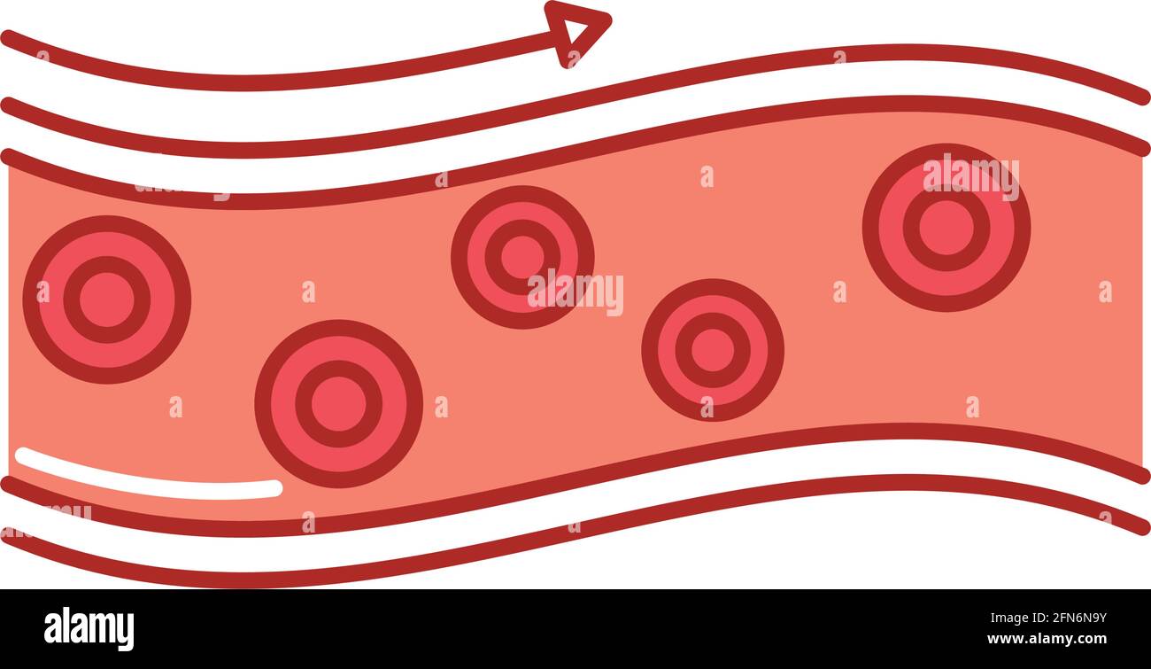 artery blood flow Stock Vector Image & Art - Alamy