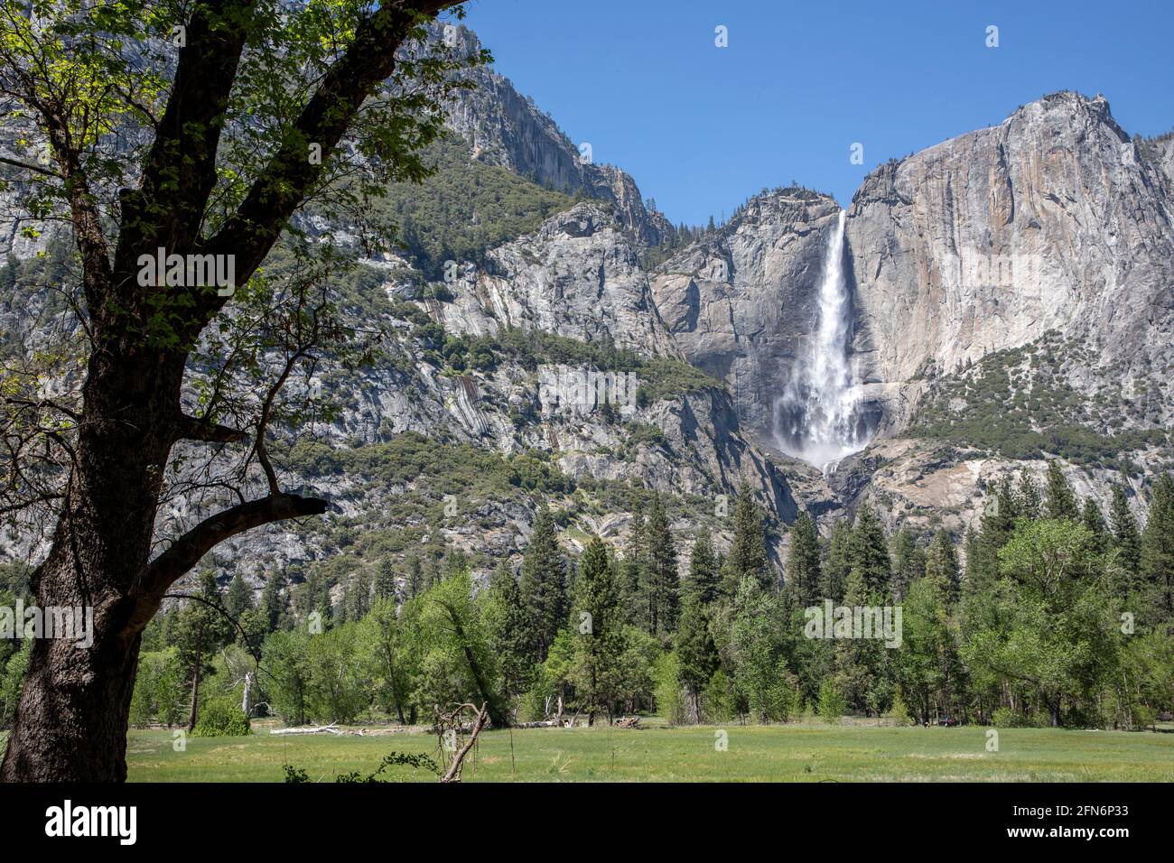 First views of Yosemite Falls when entering the valley of Yosemite ...