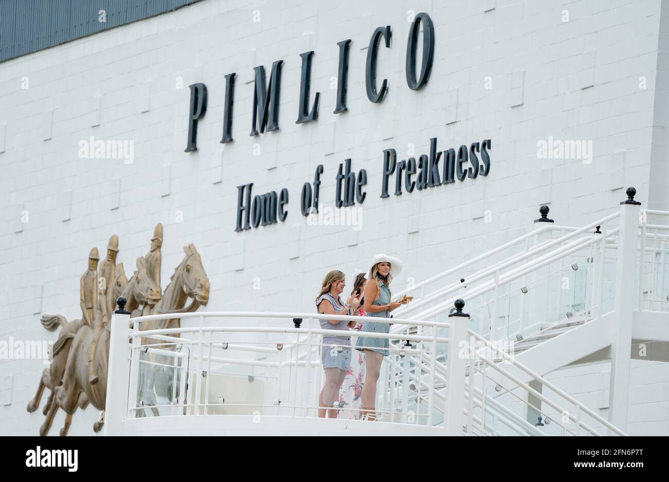 Black eyed susan horse race hi-res stock photography and images - Alamy