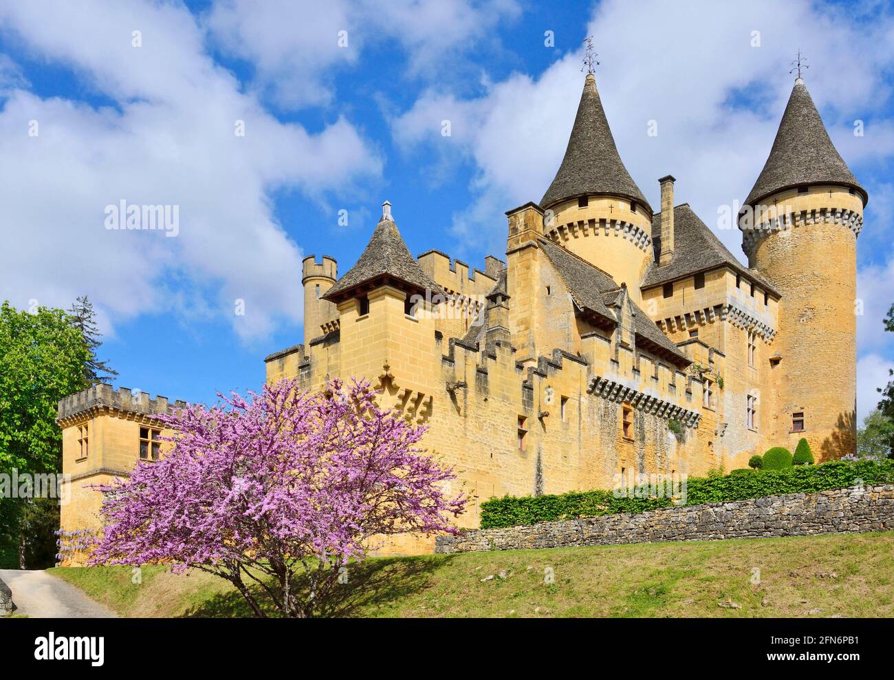 France, Dordogne, Perigord Noir, Dordogne Valley, Marquay, castle of ...