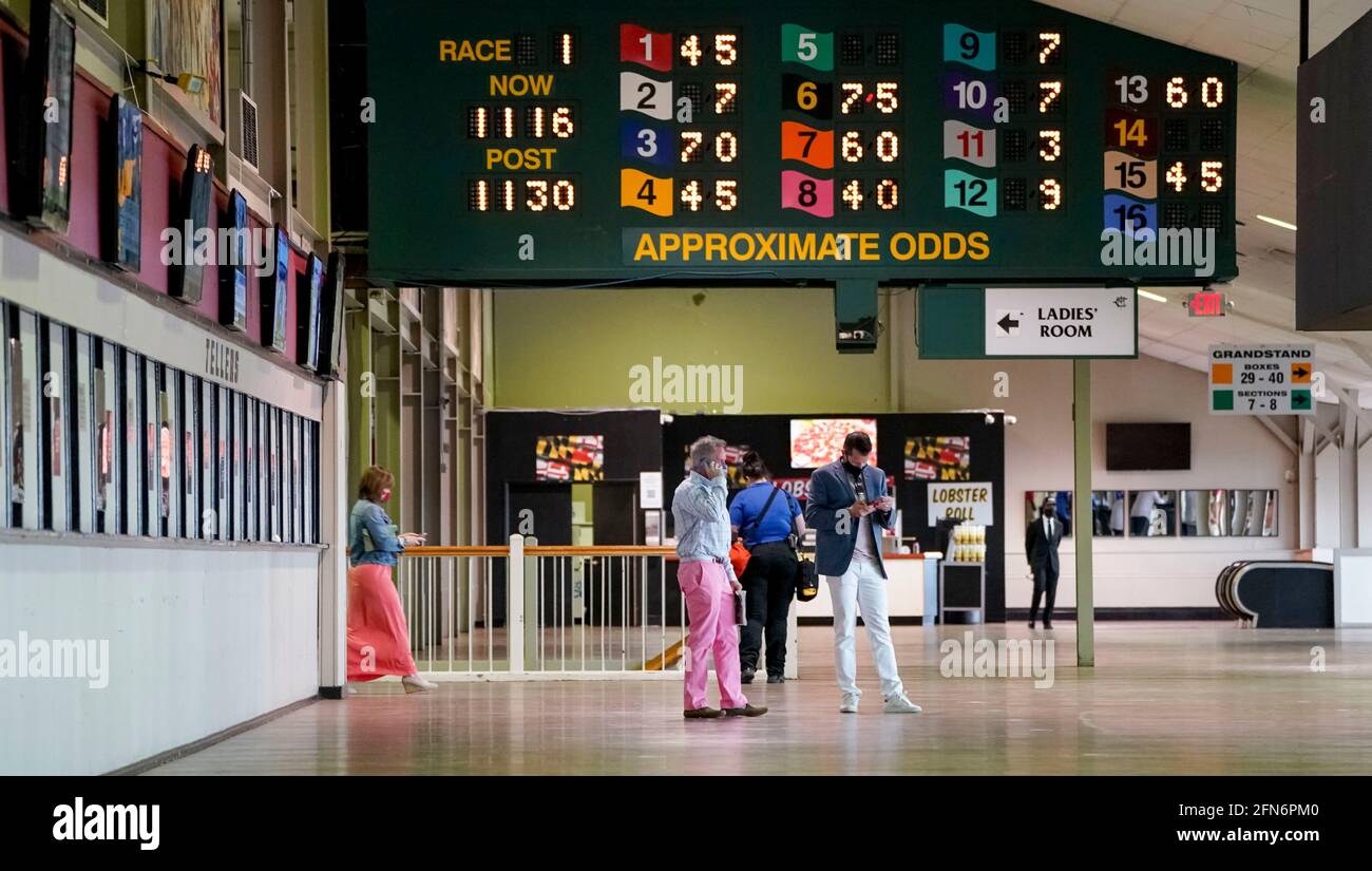 Black eyed susan horse race hi-res stock photography and images - Alamy