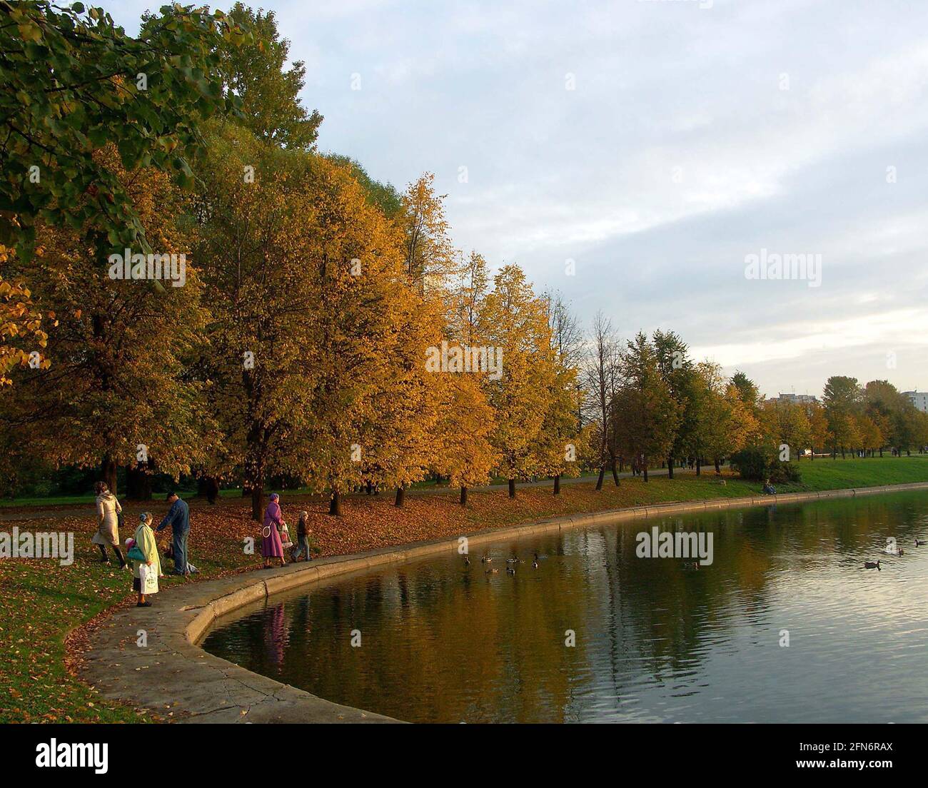 city park at autumn at evening Stock Photo - Alamy