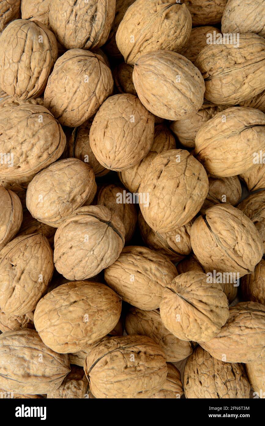 Walnut top hi-res stock photography and images - Alamy