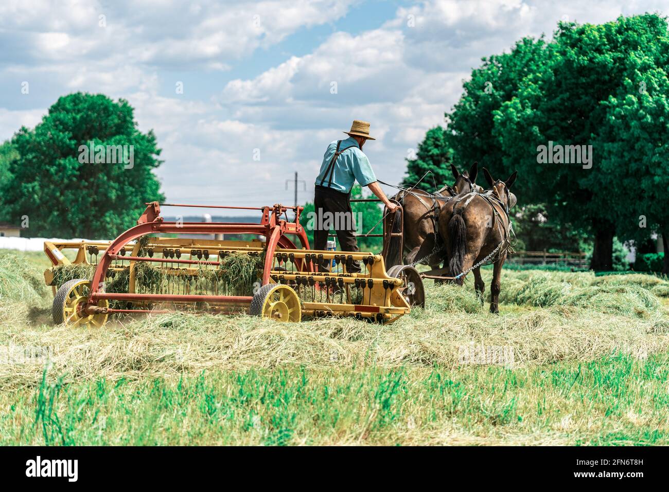 Hay rakes hi-res stock photography and images - Alamy