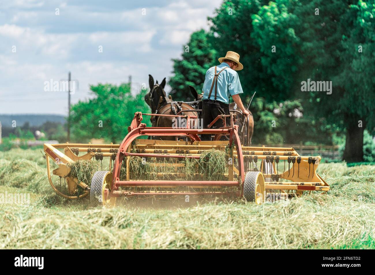 Two horse team hi-res stock photography and images - Alamy