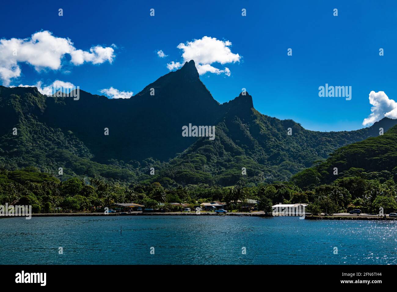 Tahiti french polynesia vegetation hi-res stock photography and images ...