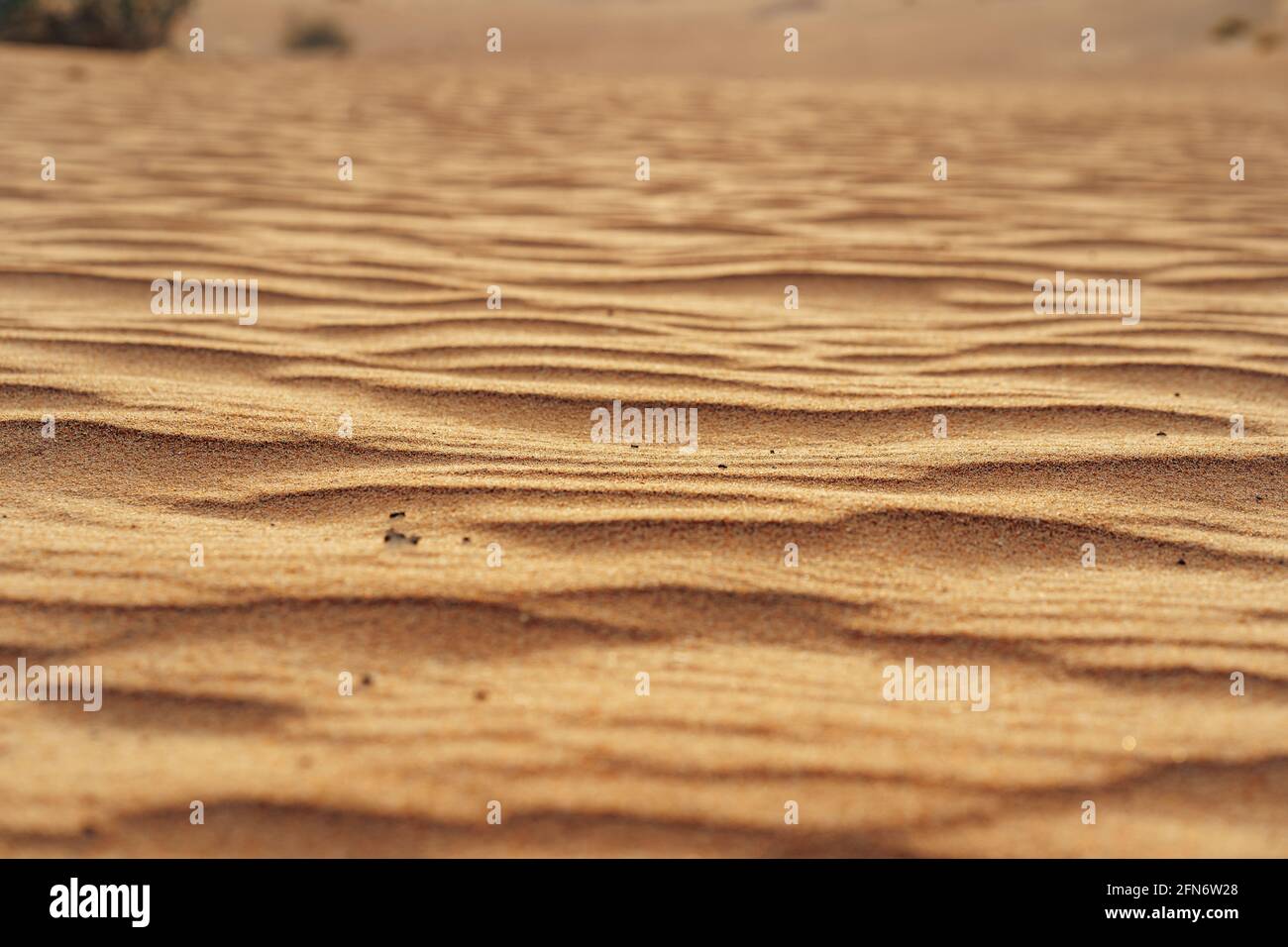 Wavy sand texture in Dubai desert close up Stock Photo - Alamy