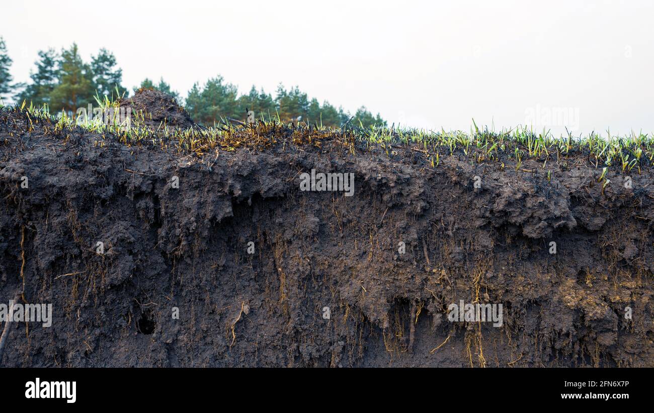 Rough dirt and grass road hi-res stock photography and images - Alamy