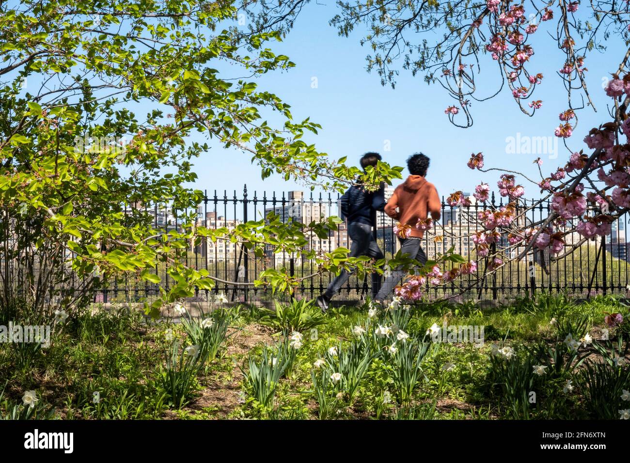 The Stephanie and Fred Shuman Running Track in Central Park is popular ...