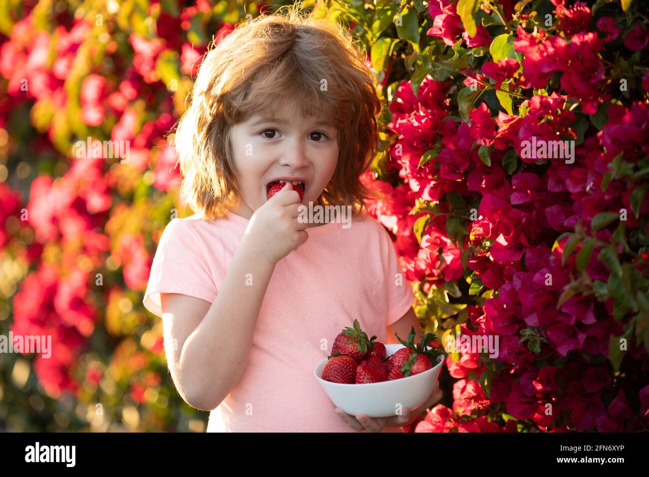 Happy child eats strawberries. Cute kid boy eating strawberry in the ...