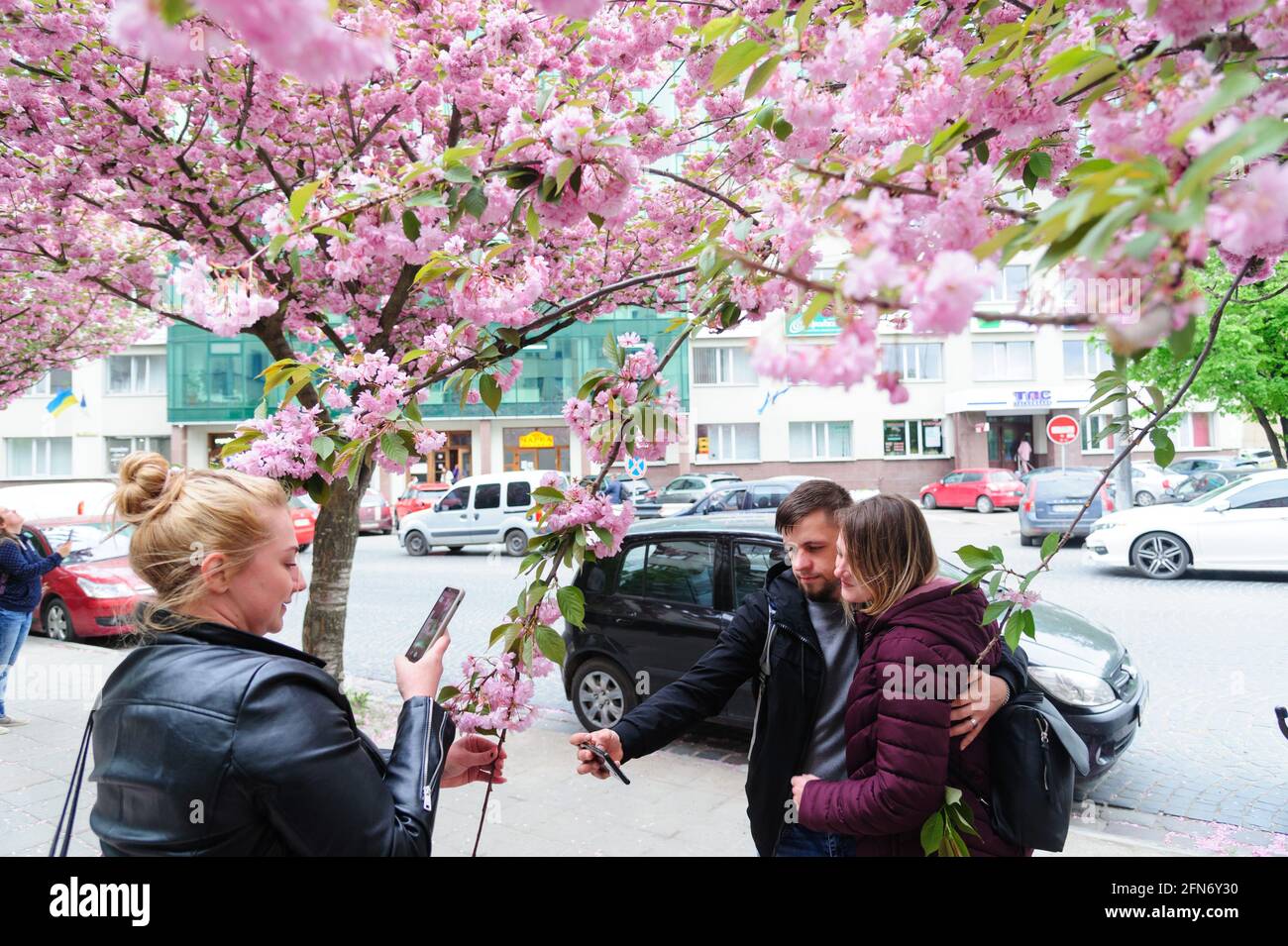 Lviv, Ukraine. 14th May, 2021. People poses for a photo next to sakura ...