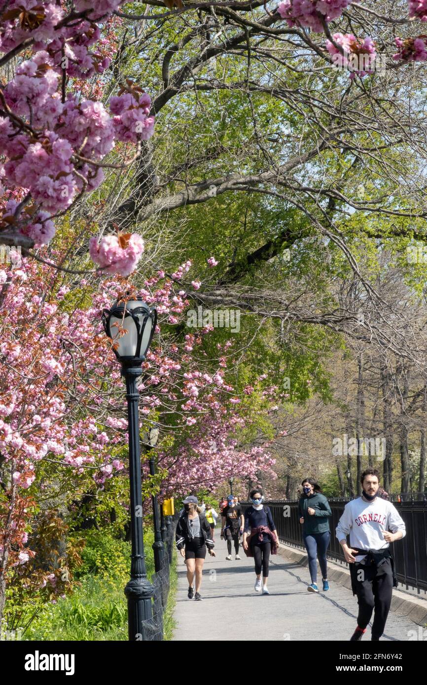 Male athlete on a running track hi-res stock photography and images - Alamy