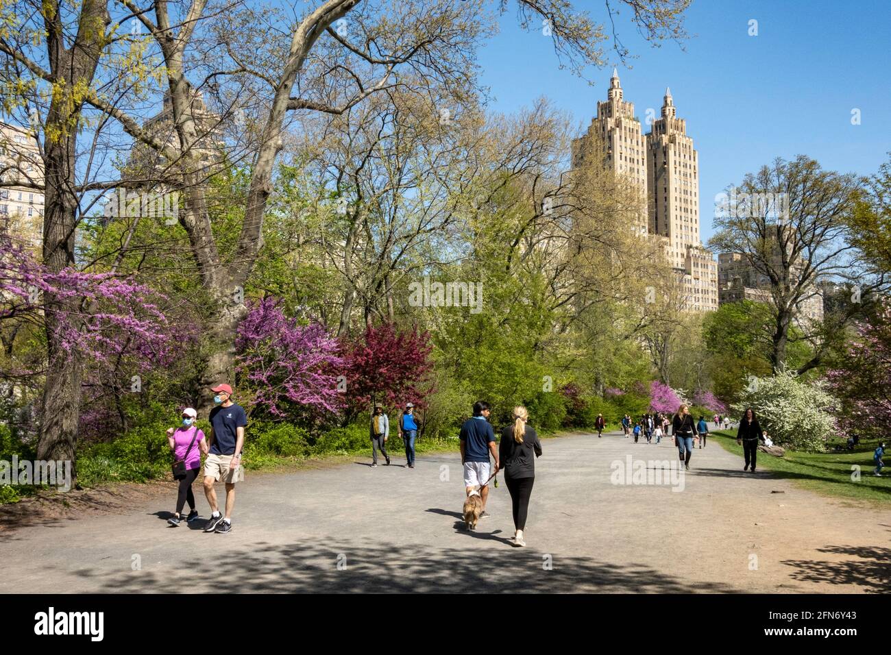 The Bridle Path in Central Park is a popular walkway, New York City ...