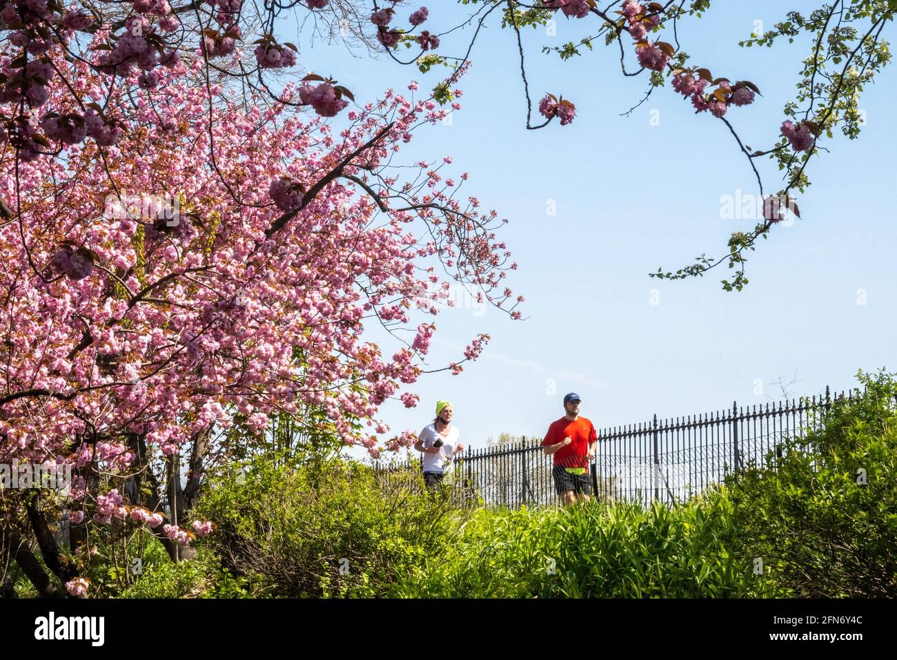 The Stephanie and Fred Shuman Running Track in Central Park is popular ...