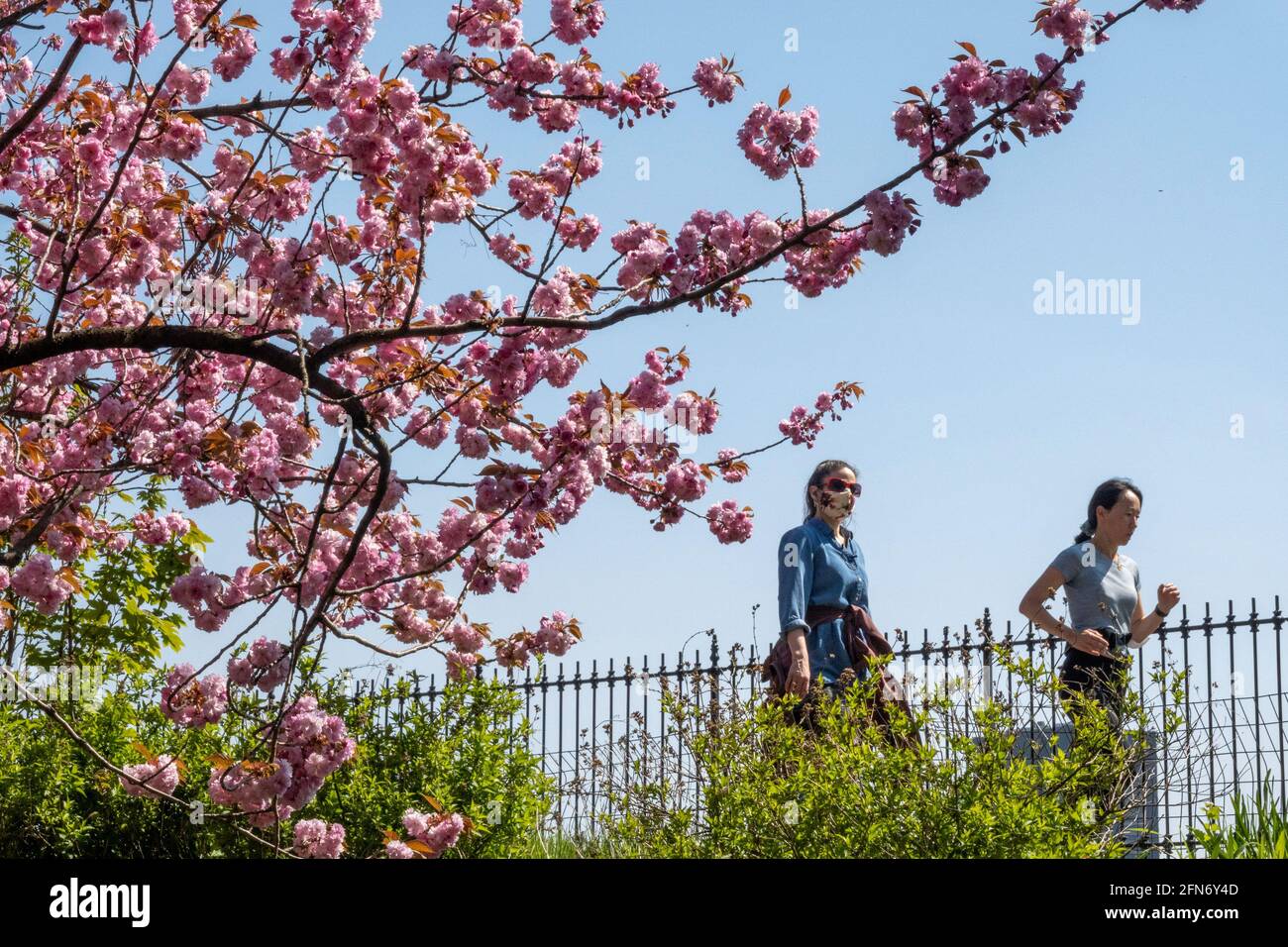 The Stephanie and Fred Shuman Running Track in Central Park is popular ...