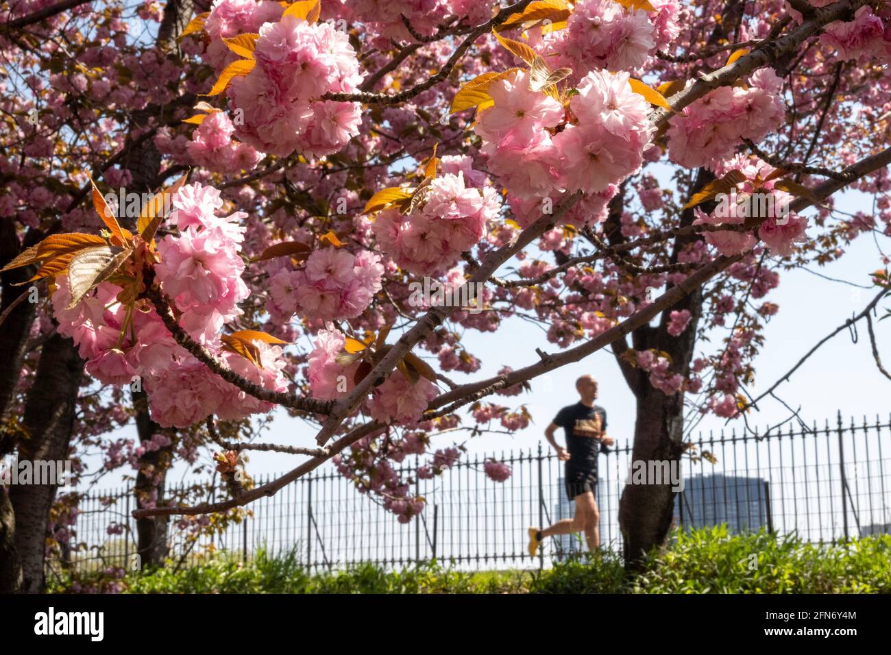 Male athlete on a running track hi-res stock photography and images - Alamy