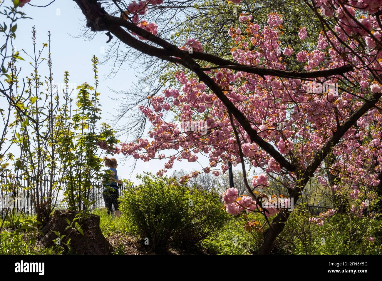 The Stephanie and Fred Shuman Running Track in Central Park is popular ...