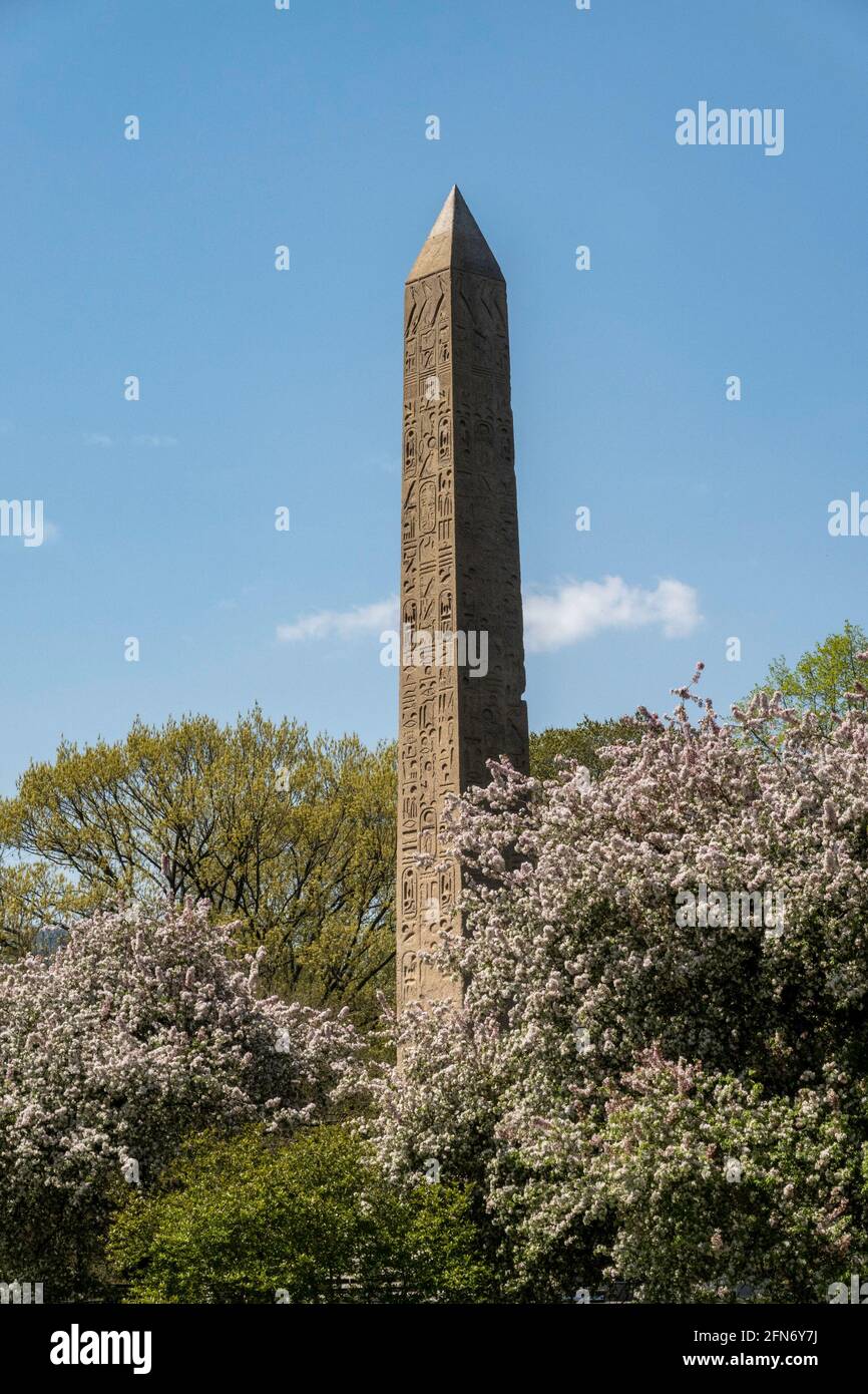 Cleopatra's Needle Obelisk is Surrounded by Magnolia Trees Blooming in ...