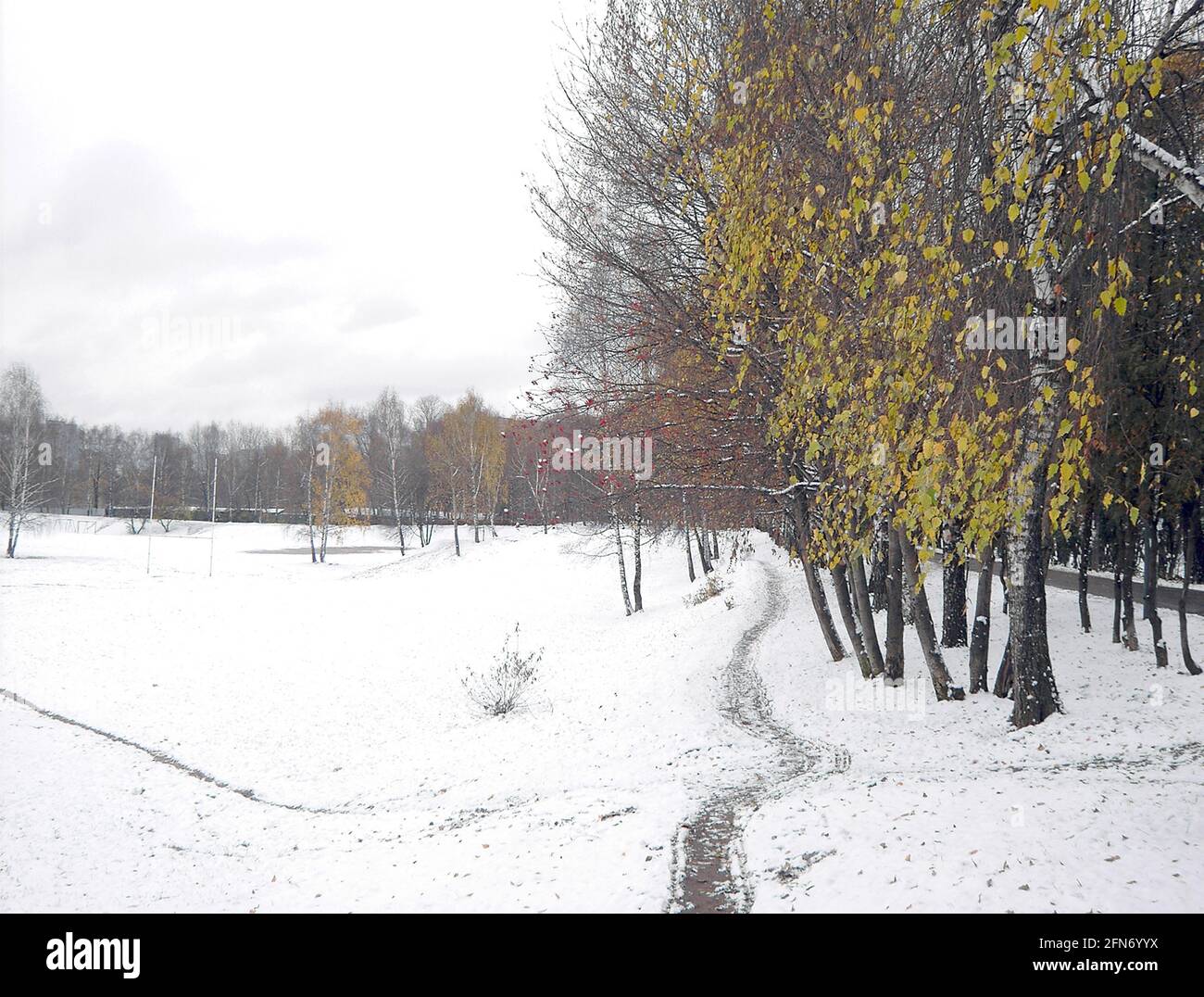 early melting snow, november, city park Stock Photo - Alamy