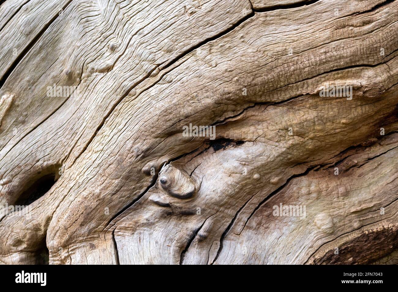 Horizontal background of brown driftwood texture Stock Photo - Alamy