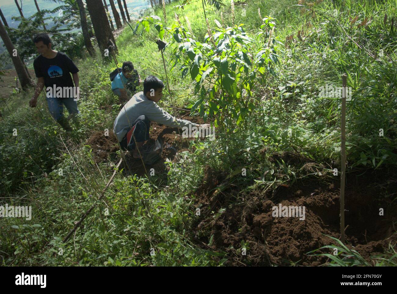 Tree adopter hi-res stock photography and images - Alamy