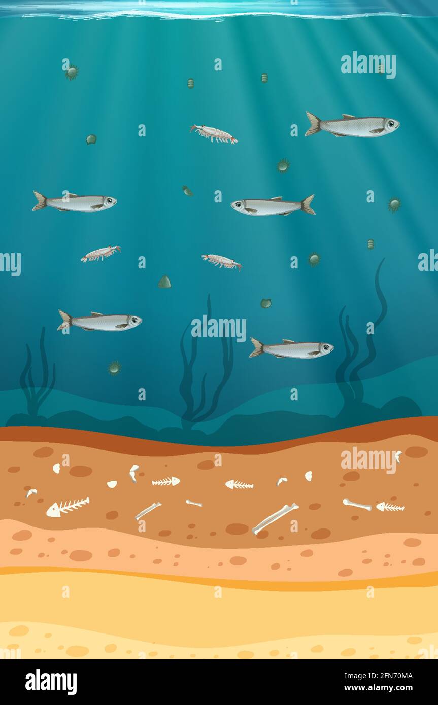 Fish and plankton in the water illustration Stock Vector Image & Art ...