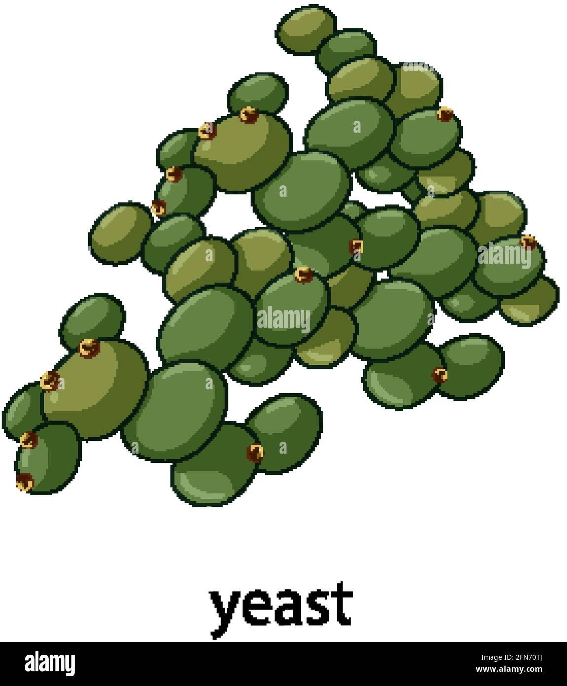 Yeast cartoon style with name illustration Stock Vector Image & Art - Alamy