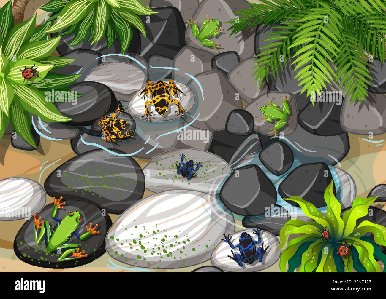 Top view of different types of frog in the rainforest illustration ...