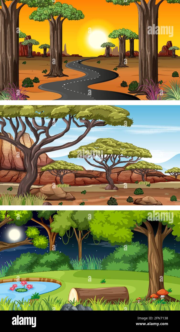 Set of different forest horizontal scenes in different times ...
