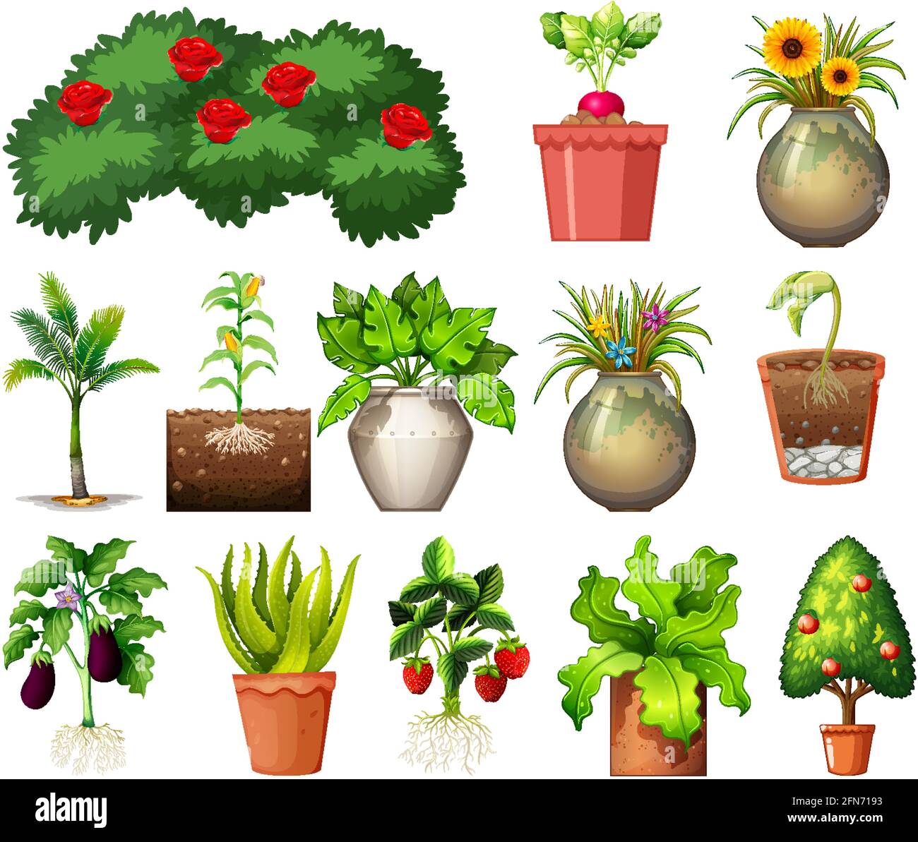 Set of different plants in pots isolated on white background ...