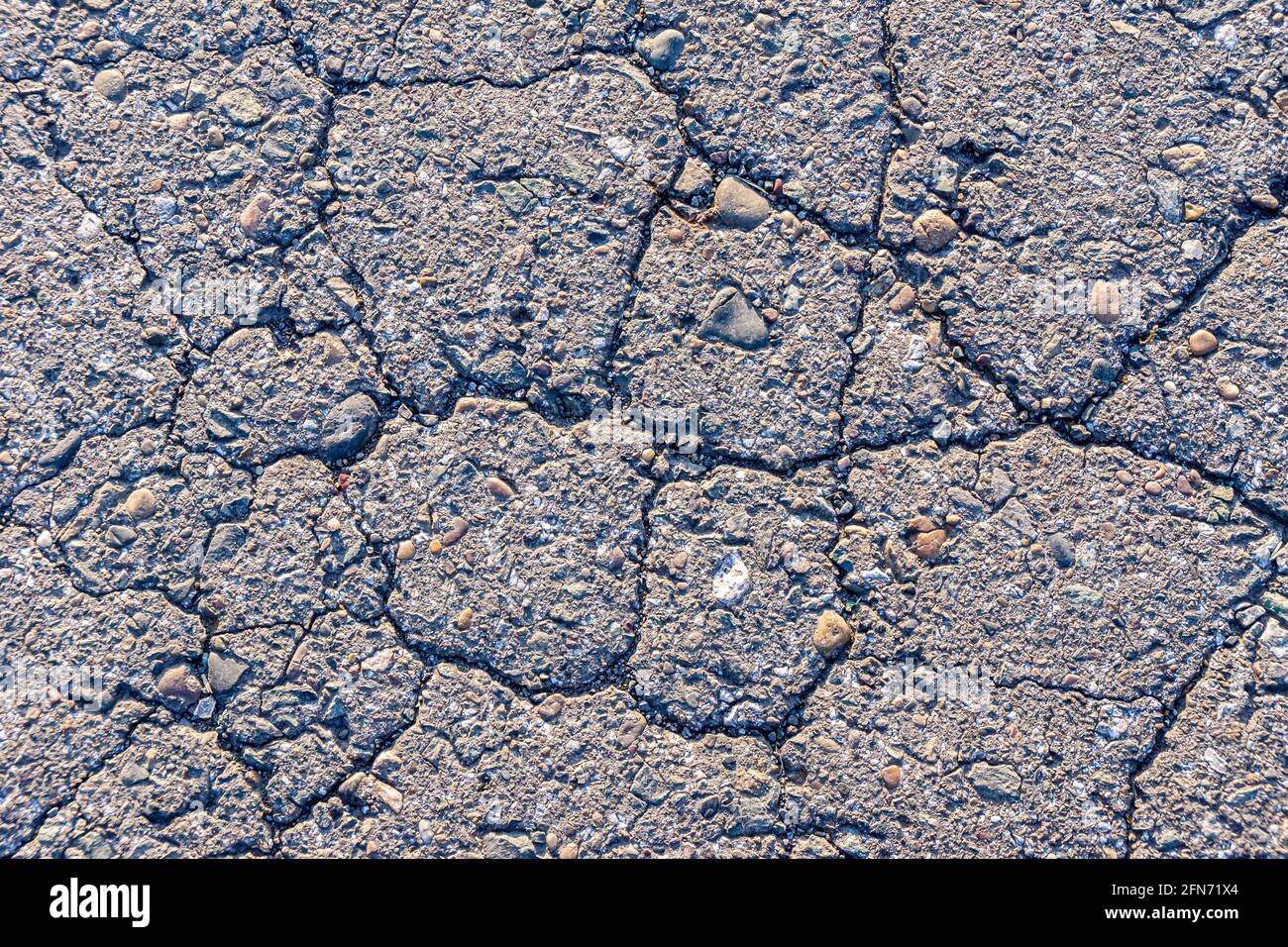 Cracked Sidewalk Texture