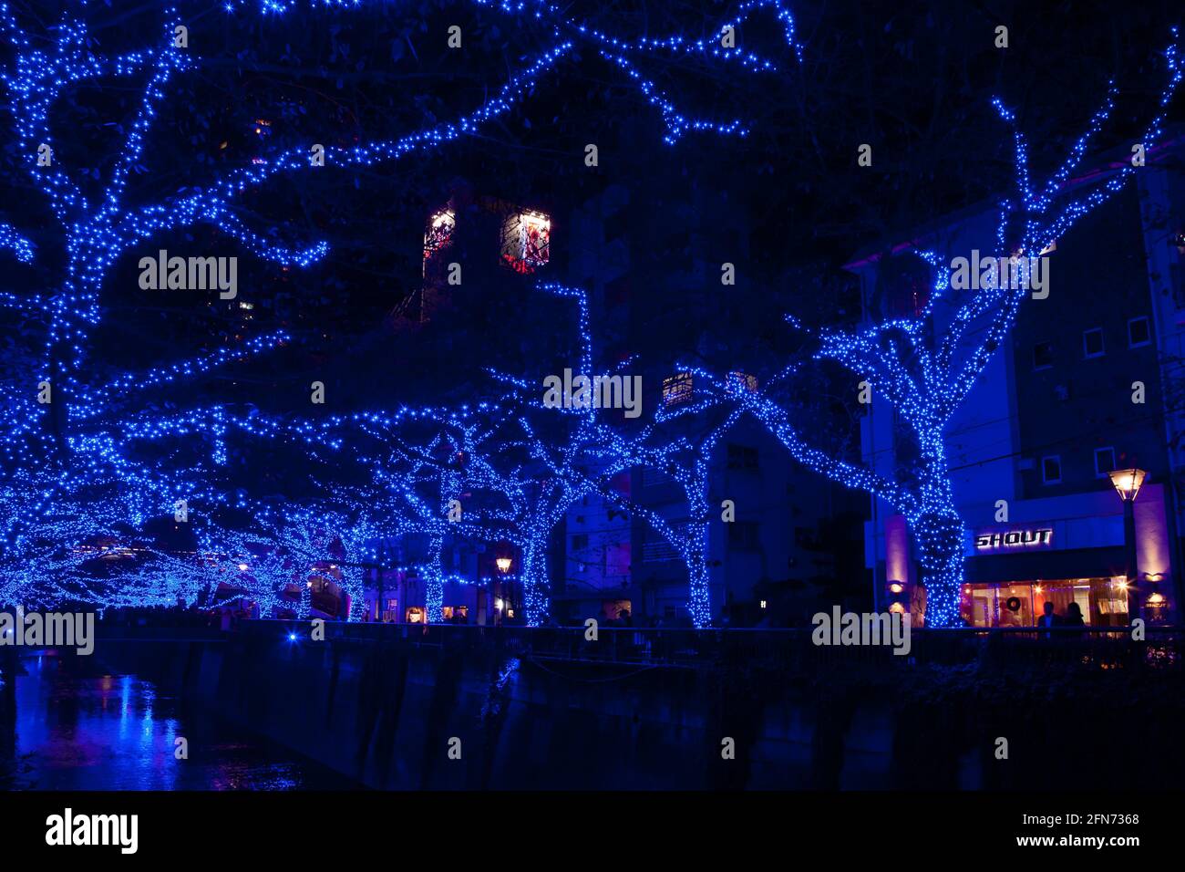 Blue LED Christmas light display over the river in Nakameguro, Tokyo ...
